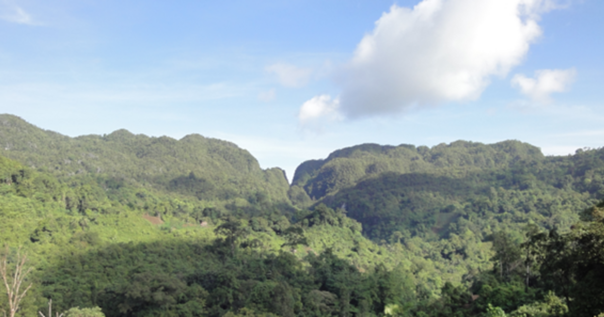 Dissertation von Dr. Ibrahim Ankaoglu: «Jenseits des Staates? Anarchie ...