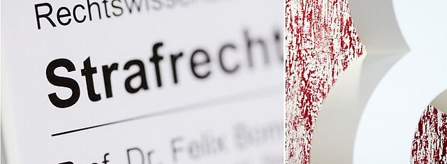 Strafrecht, Strafprozessrecht, Internationales Strafrecht und ...